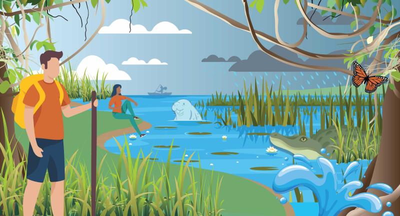 The Water Cycle | WaterMatters.org